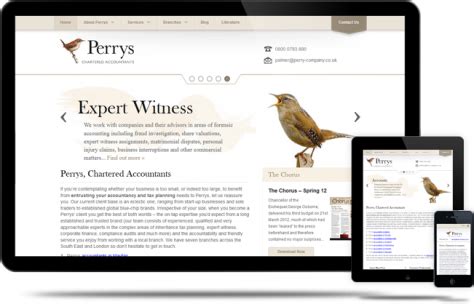 Perbedaan Desain Web Static Liquid Adaptive Dan Responsive EPlusGo