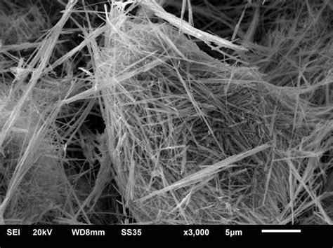 Sem Image Of If Ws 2 As Received Download Scientific Diagram