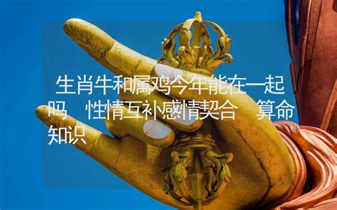 生肖牛和属鸡今年能在一起吗 性情互补感情契合 算命知识 生肖星座 合福居算命网