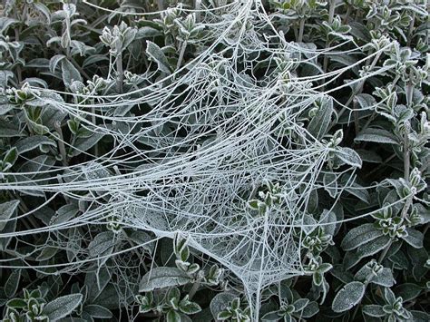 Real Time Applications With Angular And Websocket A Practical Guide