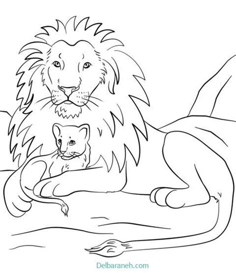 نقاشی شیر کودکانه ؛ 90 تصویر شیر مهربان و وحشی برای رنگ آمیزی دلبرانه