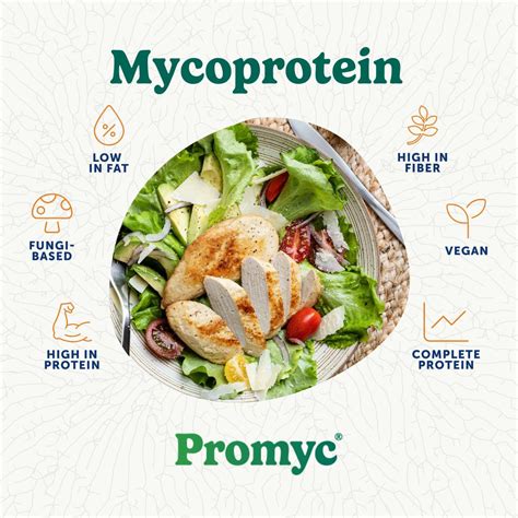 Mycoprotein Wholefood Fermentation Flexitarian Fungibased Foodinnovation Natural Mycorena