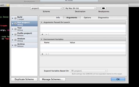 C Development In Xcode