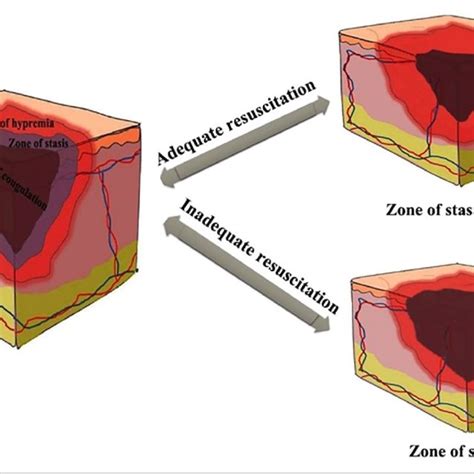 Pdf A Systematic Review On Classification Identification And