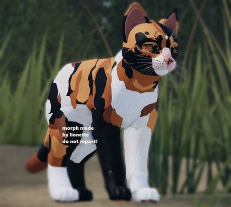 Wcue Calico Morph In 2024 Cat Ideas Katzen Volleyball Bilder