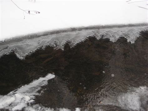 Lacy Ice