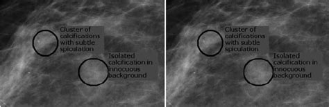 Example Pair Of Images Used As Input For Jnd Analysis Download