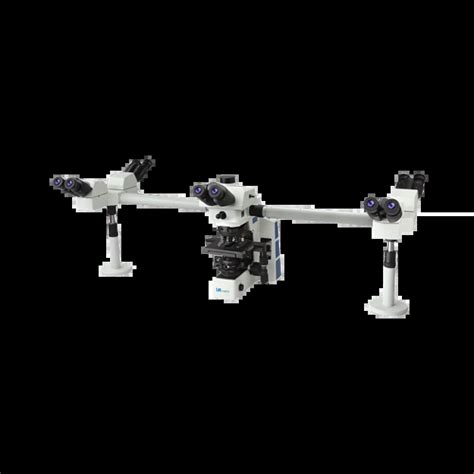 Multi Viewing Microscope Microscope Labmate