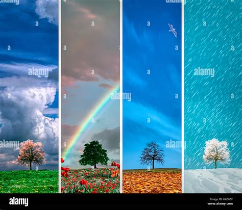 Why We Call The Seasons Summer Autumn Winter And Spring