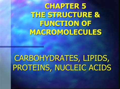 Ppt Chapter 5 The Structure And Function Of Macromolecules Powerpoint Presentation Id 9547703