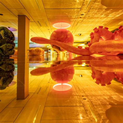The Relic Shelter Teahouse Is Built Around A Historic Wooden Structure