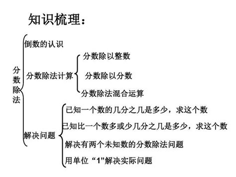 分数除法思维导图 分数除法思维导图简单漂亮 图片 网专笔记