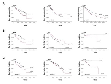 Correlation Between Synucleins Expression And Overall Survival A C