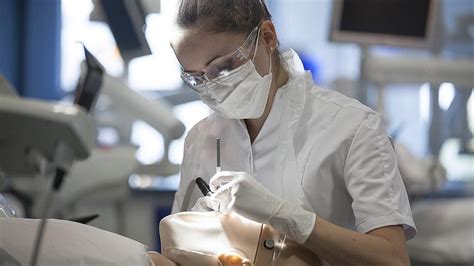 Oral Health Services Workforce Development And Clinical Epidemiology