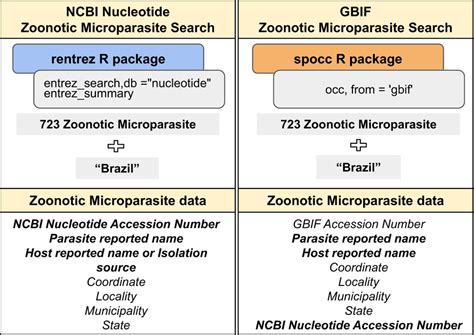 Scheme Of The Systematic Process To Automatically Retrieve Ncbi