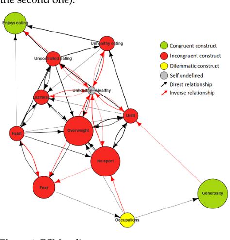 Figure 1 From Fuzzy Cognitive Maps As A Tool For Identifying Cognitive