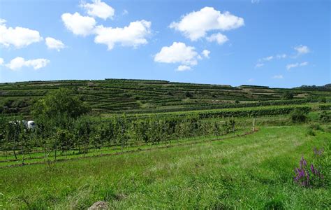 Radfahren in Rhinau schönsten Radrouten Outdooractive