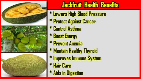 Jackfruit Health Benefits Swasth Ke Liye Laabhkari Katahal