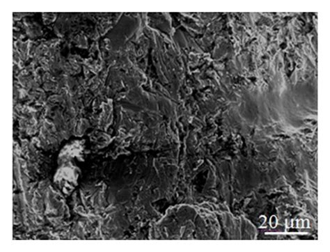 SEM Morphology Of The Worn Surface Of The Specimen After Different Heat
