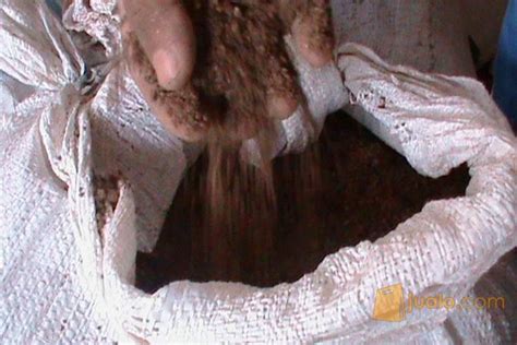 Bungkil Sawit Pakan Ternak Tanpa Campuran Di Kota Semarang Jawa
