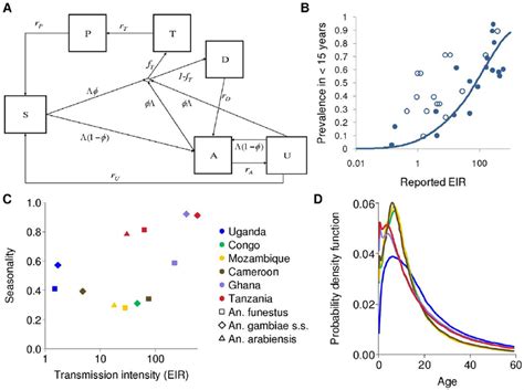 Transmission Model Eir Prevalence And Seasonality And Infectious