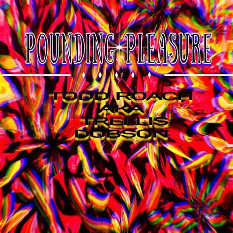 Pounding Pleasure Todd Roach Serato Dj Playlists