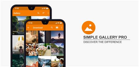 Simple Gallery Pro V MOD APK Vividapk Roosphx