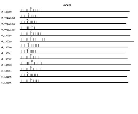Human Mboat2 Qpcr Primer Set Nm 138799 Diacarta Inc