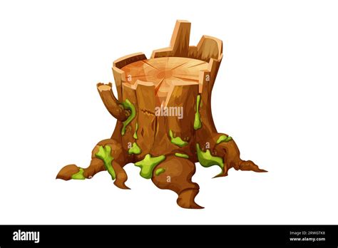 Wooden Old Stump Forest Tree Trunk With Roots Moss Cut Section In