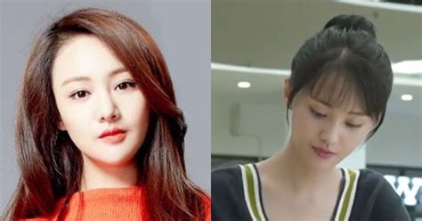 ‘탈세·대리모 퇴출된 中 여배우 165억원 물어낼 판