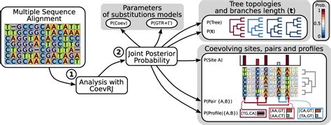 Figure 1 From Simultaneous Bayesian Inference Of Phylogeny And