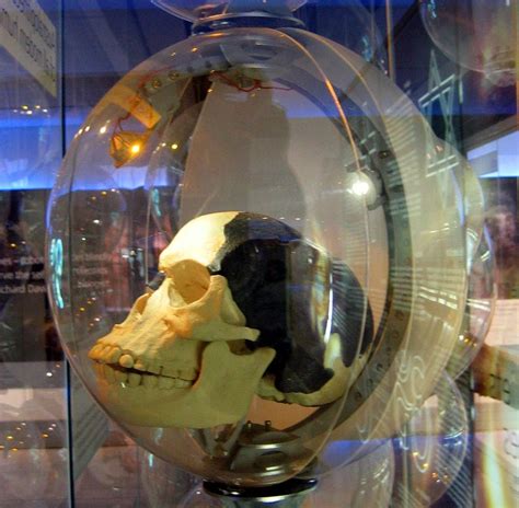 Behind Closed Doors What The Piltdown Man Hoax From 1912 Can Teach