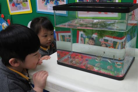 首頁 偉思幼稚園幼兒園 Wisely Kindergarten And Day Nursery
