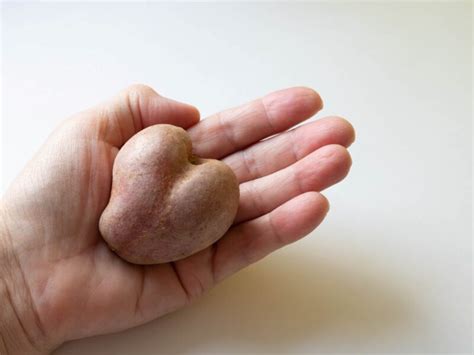 Sti Vs Std Whats The Difference