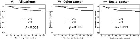 Recurrence‐free Survival A All Patients B Colon Cancer C Rectal Download Scientific