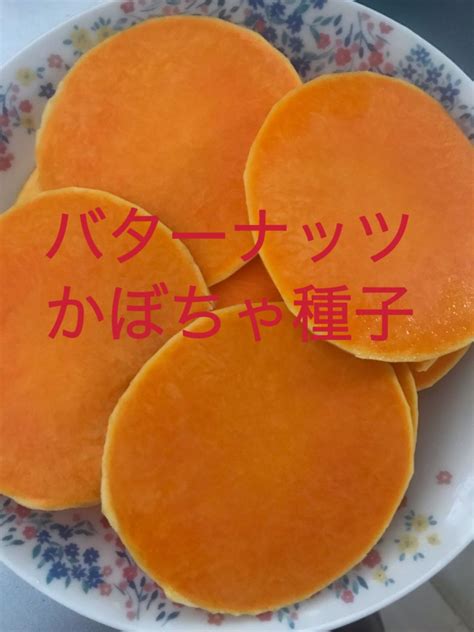 自家採種したバターナッツかぼちゃの種15粒 メルカリ