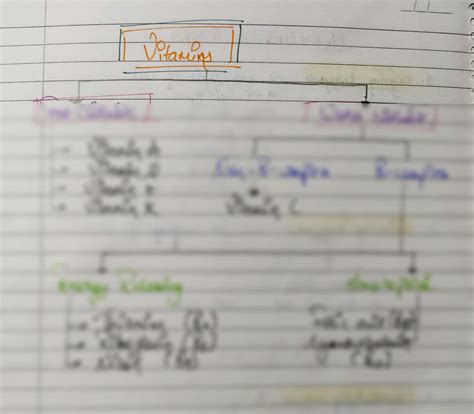 Solution Types Of Vitamins Flowchart Studypool