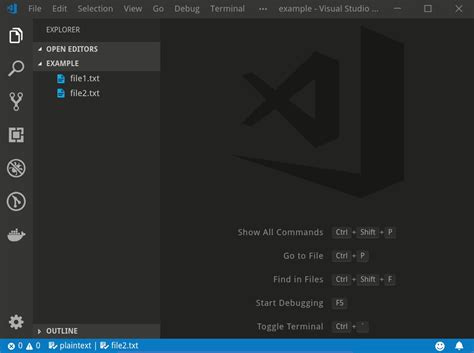 Closing The Last Open File Then Hiding And Showing The Explorer