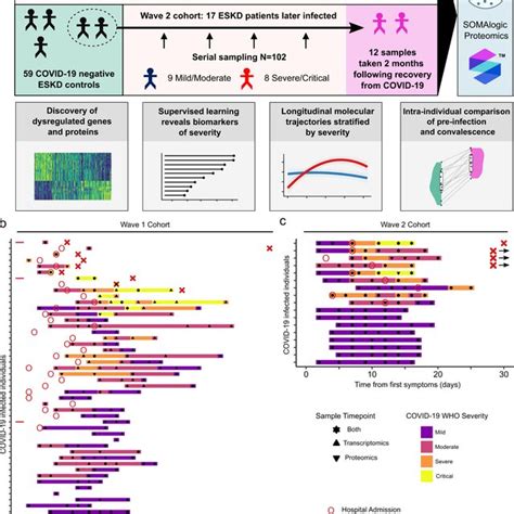 Study Design And Cohort Summary A Graphical Summary Of The Patient
