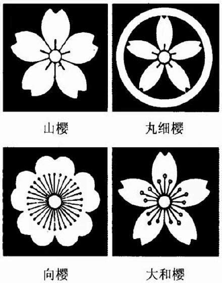 日本家徽中的樱花纹