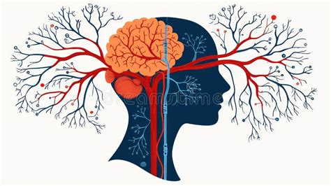 Illustration Depicts Human Circulatory System Using Simplified Shapes And Bright Colors