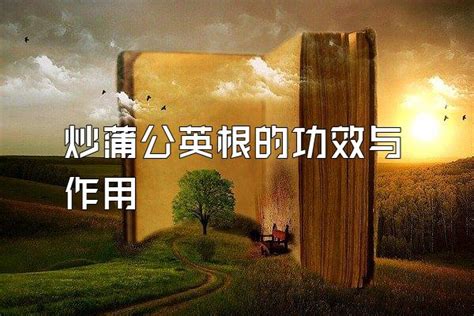 炒蒲公英根的功效与作用 功效与作用 中药健康网
