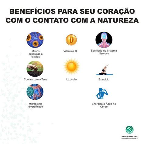 Pin De Natureza Viva Goval Vendas Em Frases Incentivo Incentivo