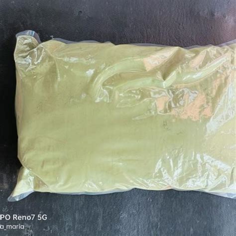 Jual Bubuk Daun Temu Putri 1 Kg Pure Organik Tanaman Tradisional Nusantara Kab Situbondo