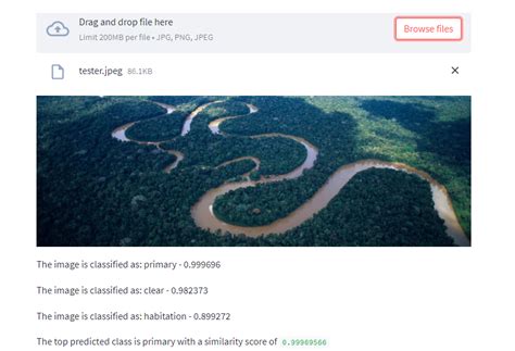 Image Classification Of The Amazon Rainforest Using Custom Convolutional Neural Networks By