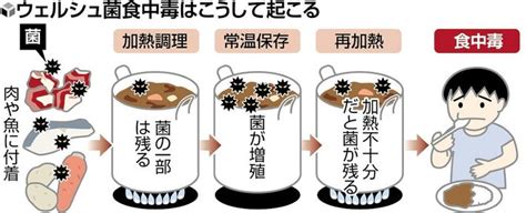「ウェルシュ菌」肉や魚・野菜に広く付着、加熱後も残り食中毒の原因に室温での長時間放置で増殖 読売新聞