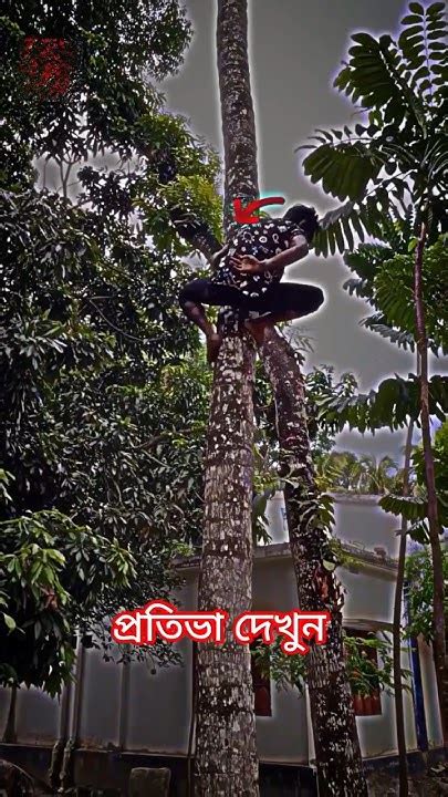 প্রতিভা দেখুন এক হাত দিয়ে নারকেল গাছের মাথায় উঠে যায় একলাতে Youtube