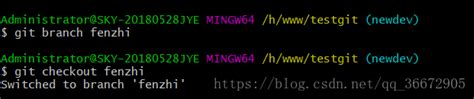 Git分支（存在意义和使用方法）gitblit 分支 Csdn博客