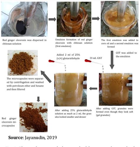 Figure 2 From A Review Of Encapsulation Using Emulsion Crosslinking