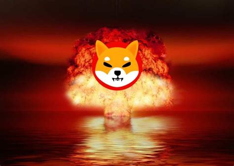 Shiba Inu Burn Rate Spikes By Over The Week With Over B SHIB Burned